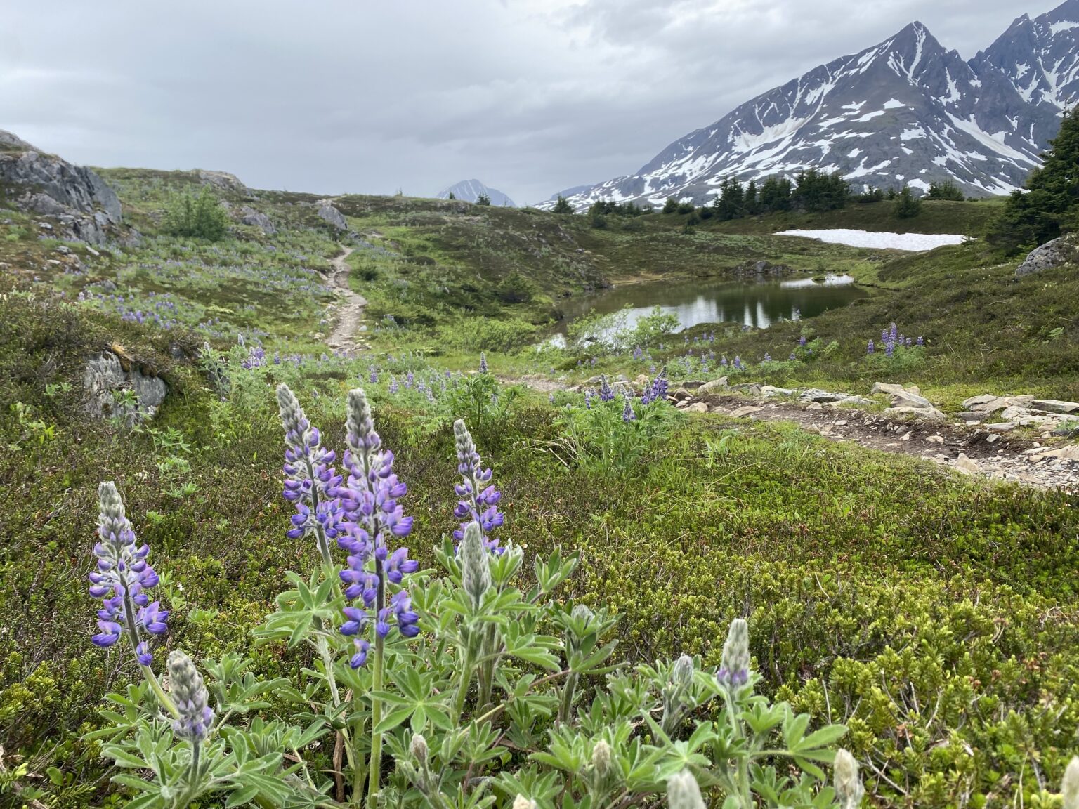 Hidden Gems in Seward Alaska - Seward City Tours