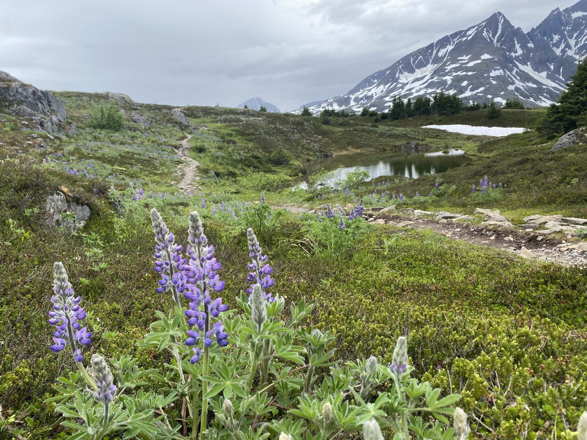 Hidden Gems in Seward Alaska - Seward City Tours