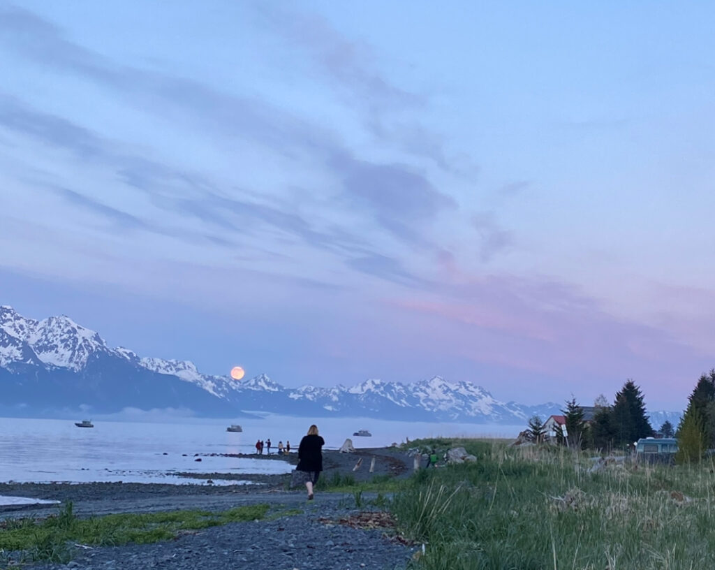 Hidden Gems in Seward Alaska - Seward City Tours